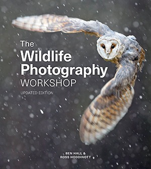 The Wildlife Photography Workshop (Updated Edition) - Ammonite Press